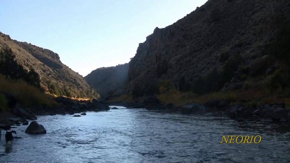 NeoRio: Confluence of Art and Environments on Vimeo