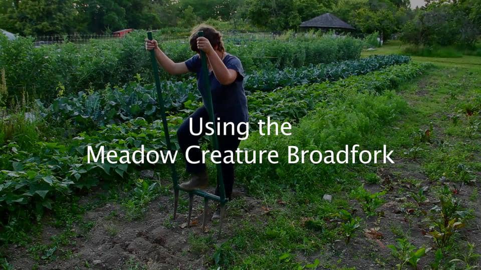 Using the Meadow Creature Broadfork on Vimeo