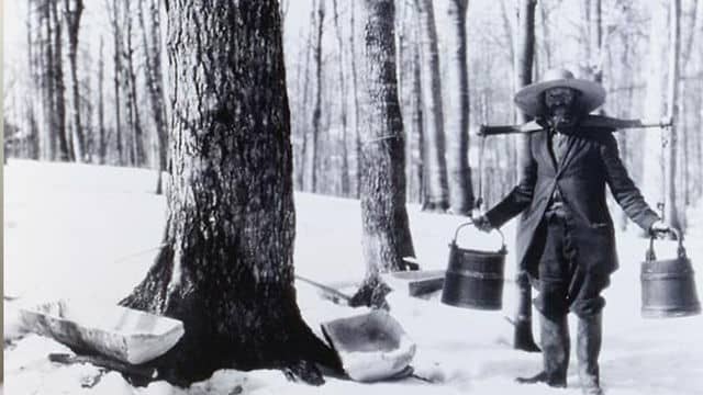 Benner's Farm on Vimeo