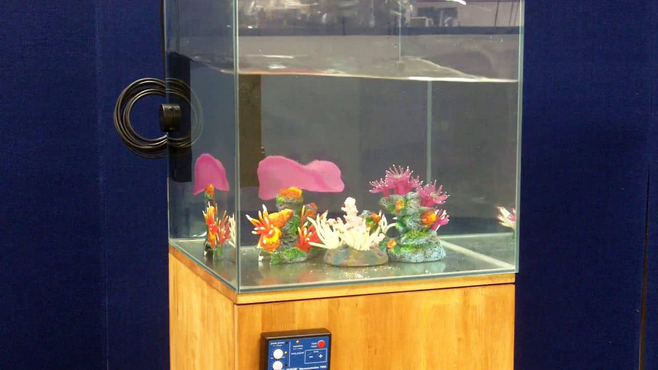 Tunze Nano Wavebox 6206 Product Demo on Vimeo