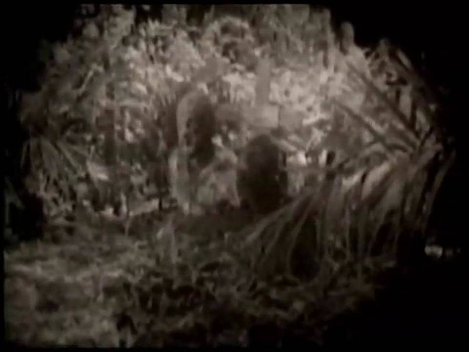 New Orleans Voodoo on Vimeo