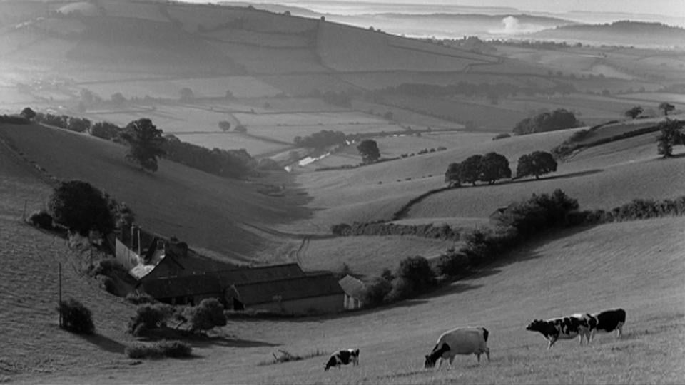 Watch James Ravilious: A World in Pictures Online | Vimeo On Demand on ...
