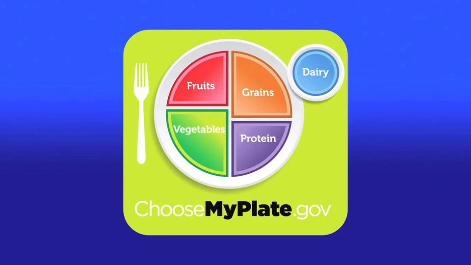 USDA's New "MyPlate" Guidelines and the Importance of Good Nutrition on ...