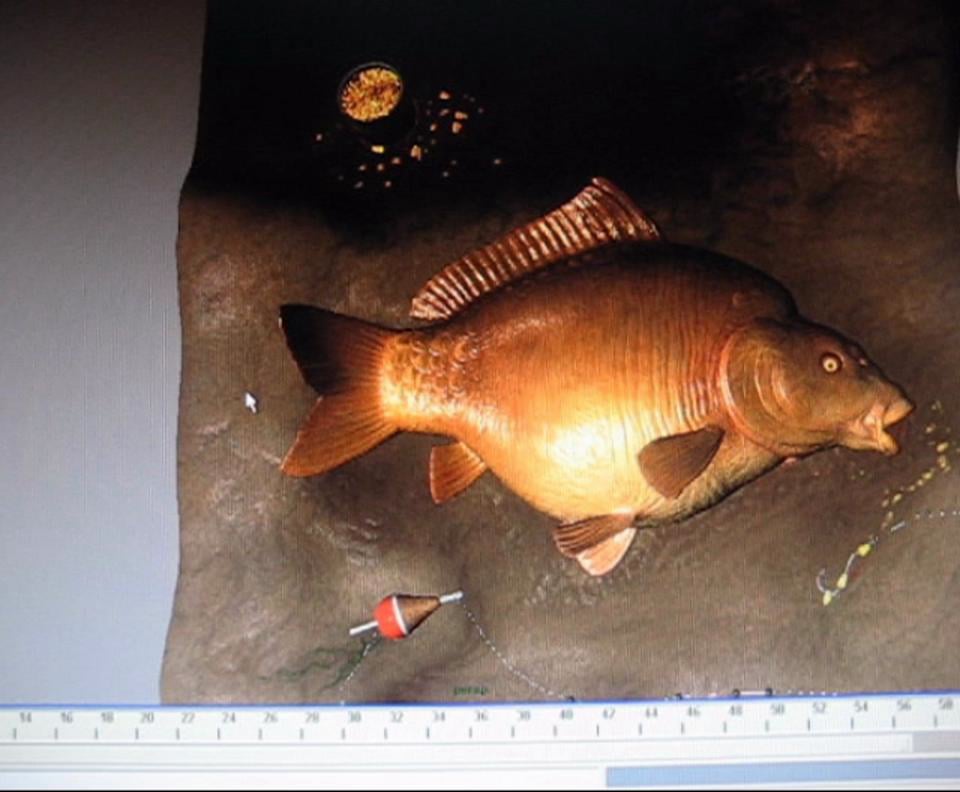 fish_realtime on Vimeo