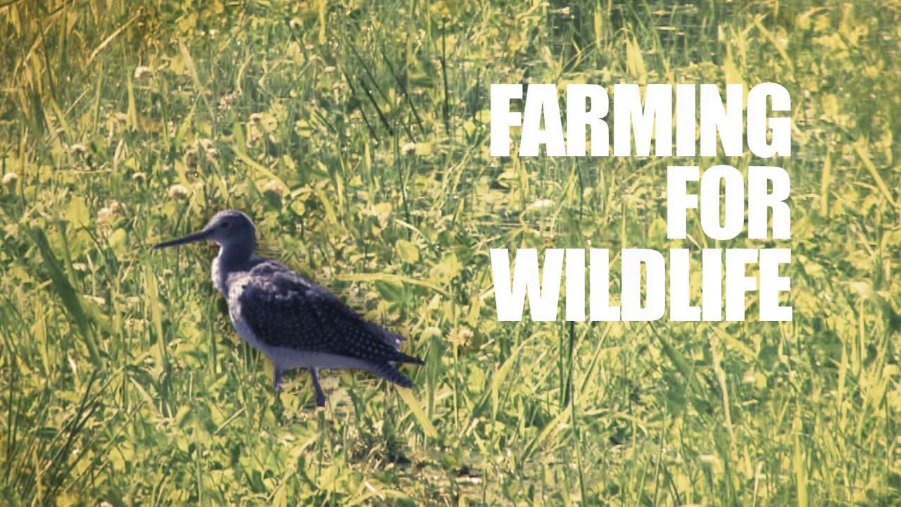 Farming for Wildlife | Videos & Movies on Vimeo