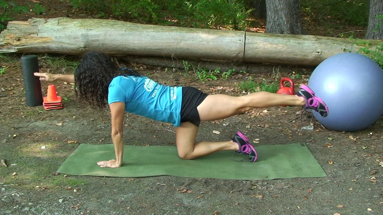 Quadruped Opposite Arm / Leg Extensions on Vimeo