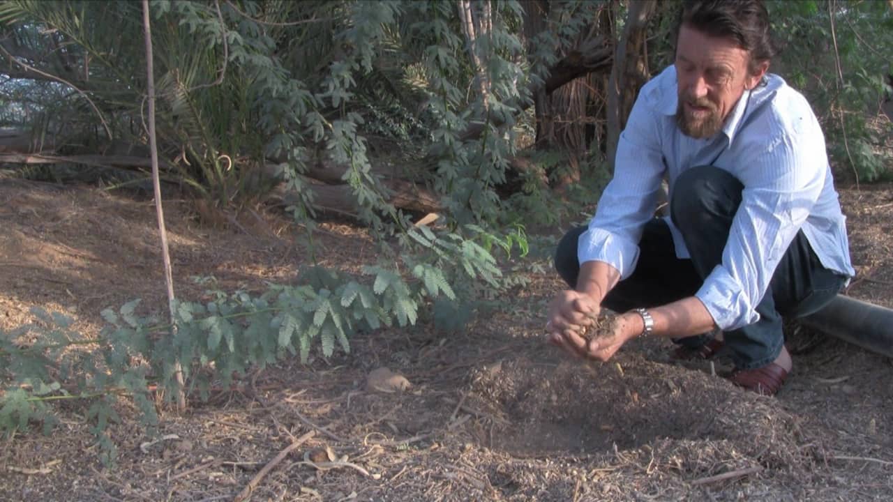 Greening the Desert II: Greening the Middle East on Vimeo