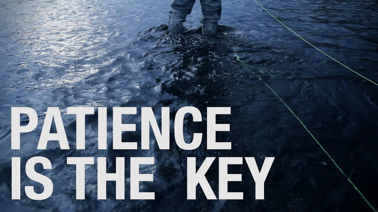 Patience Is The Key on Vimeo