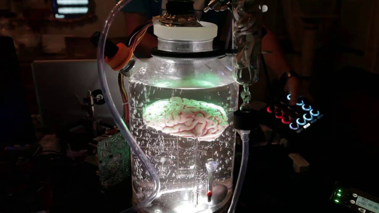NEAR(ER) + Floating Brain Instrument on Vimeo