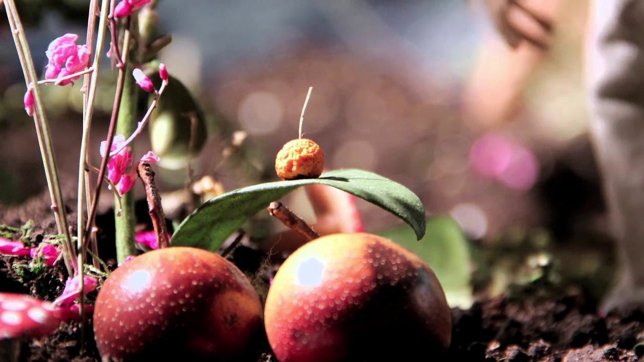 Try to Bend a River - Animation on Vimeo