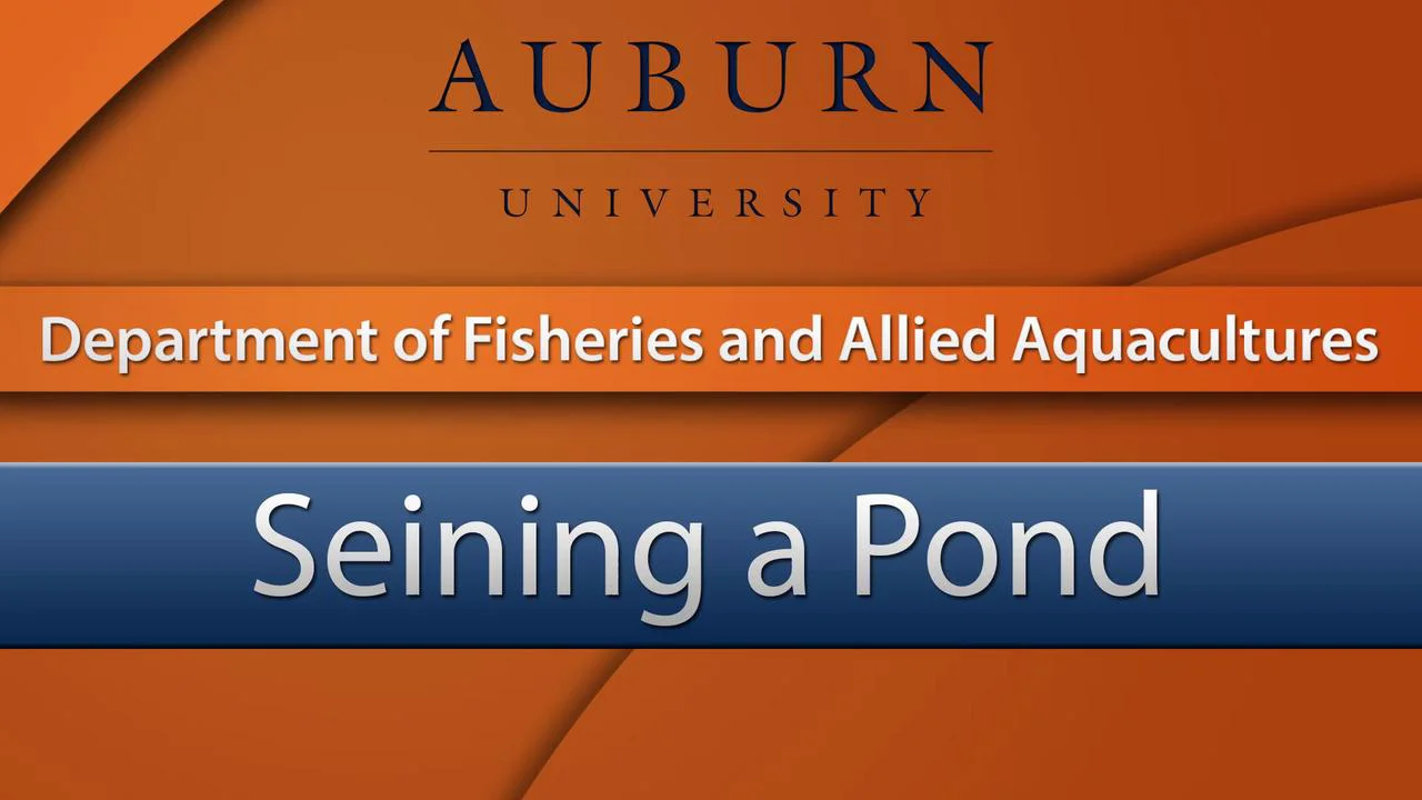 Seining a Pond Instructional Video on Vimeo