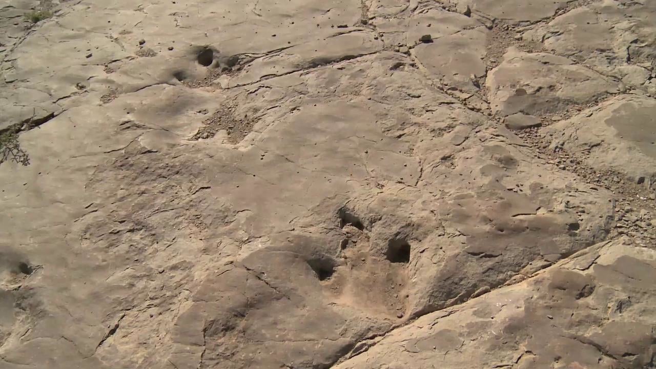 Picket Wire Canyon Dinosaur Tracks on Vimeo