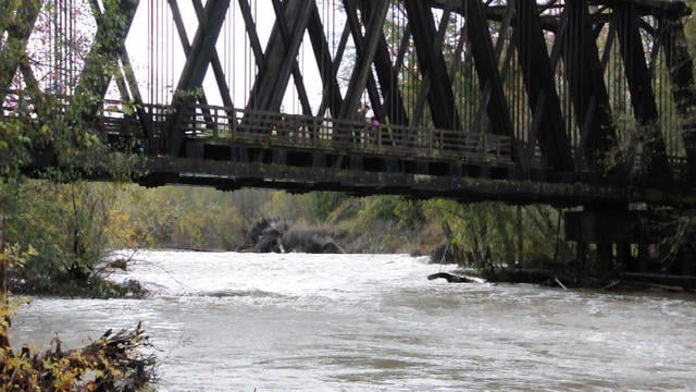 Dungeness River at Railroad Bridge Park, Sequim, WA on Vimeo
