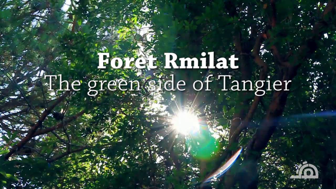 Forêt Rmilat - The green side of Tangier on Vimeo