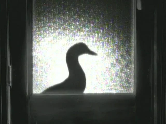 Aflac - Duck's Voice Case Study