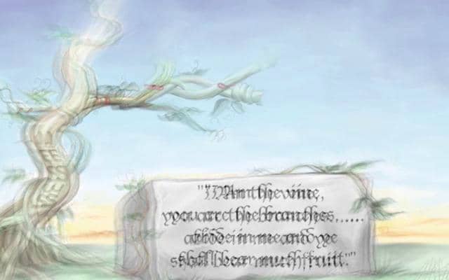 Vine of Life for Christian Website on Vimeo