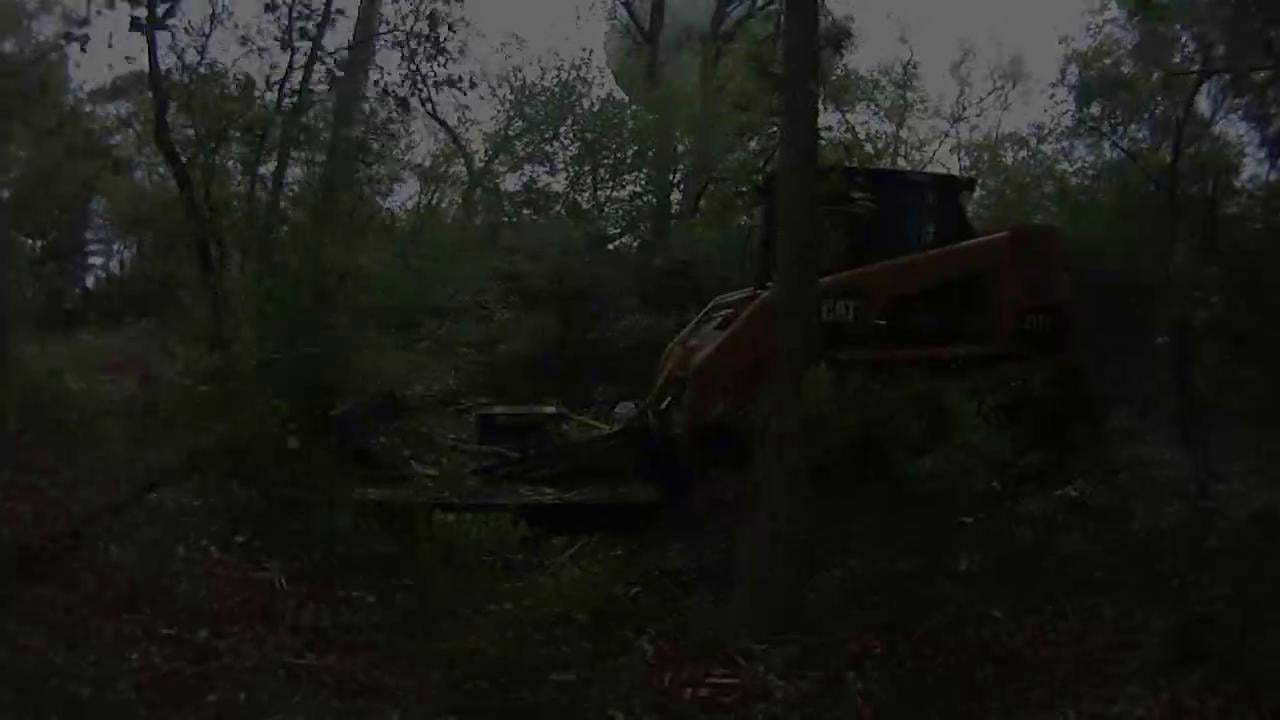 Shackleton Tree Service - Brush & Tree mower in action on Vimeo