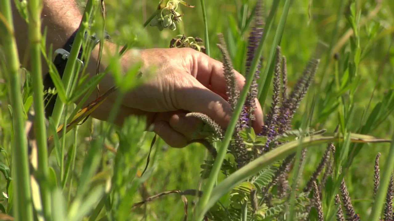 CBG Kiosks- Scientist Bio:David Sollenberger on Vimeo