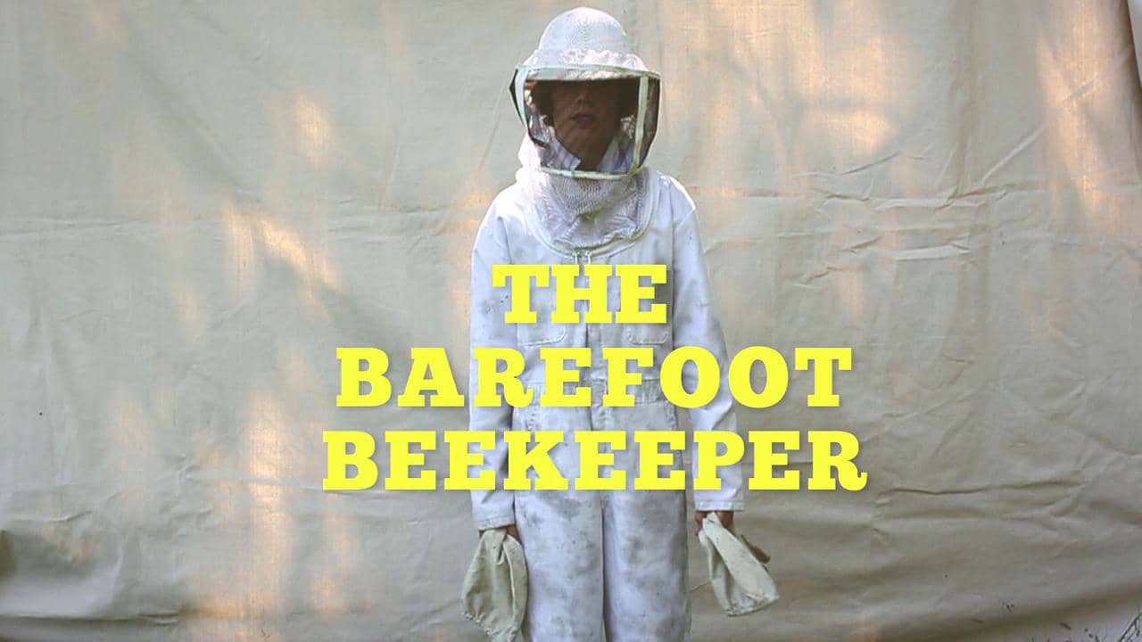 The Barefoot Beekeeper on Vimeo