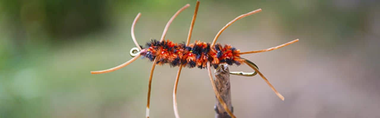 Fly Patterns - Pat's Rubber Leg on Vimeo