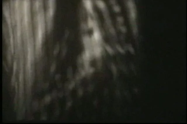 Steatopygia on Vimeo