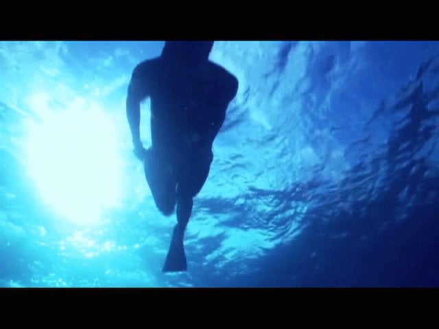 DOLPHINS v2 on Vimeo