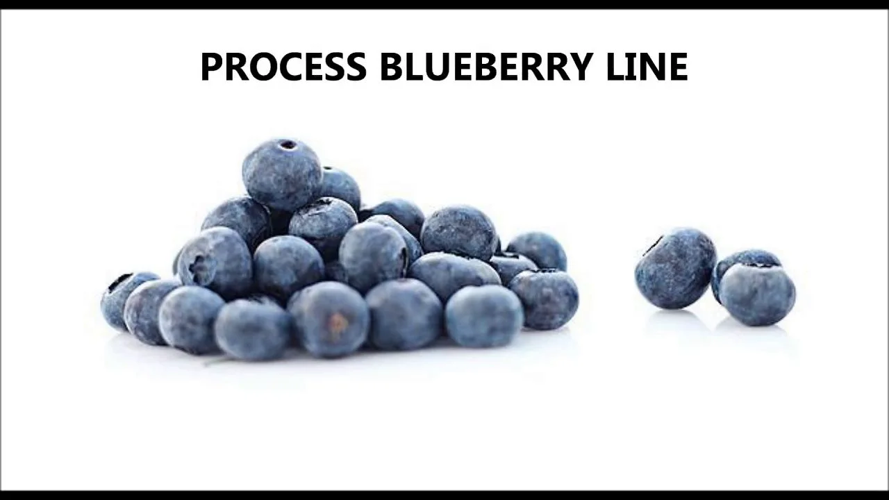 Blueberry Packing Equipment - Blueberry Processing Line on Vimeo