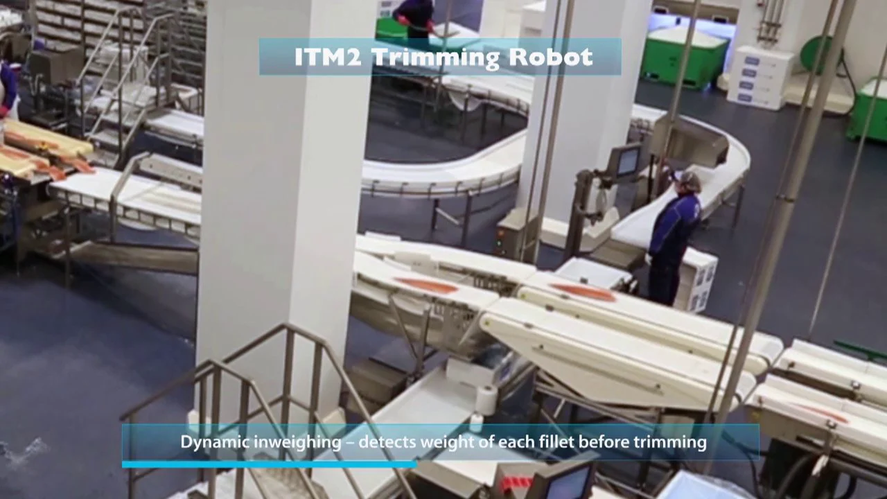 Marel ITM2 trimming robot - Automatic salmon trimming on Vimeo
