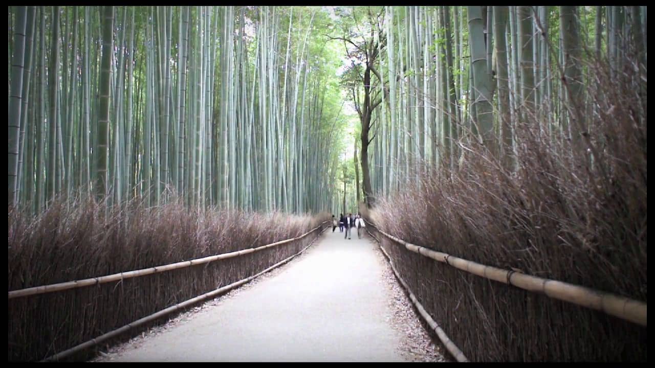 Japan on Vimeo