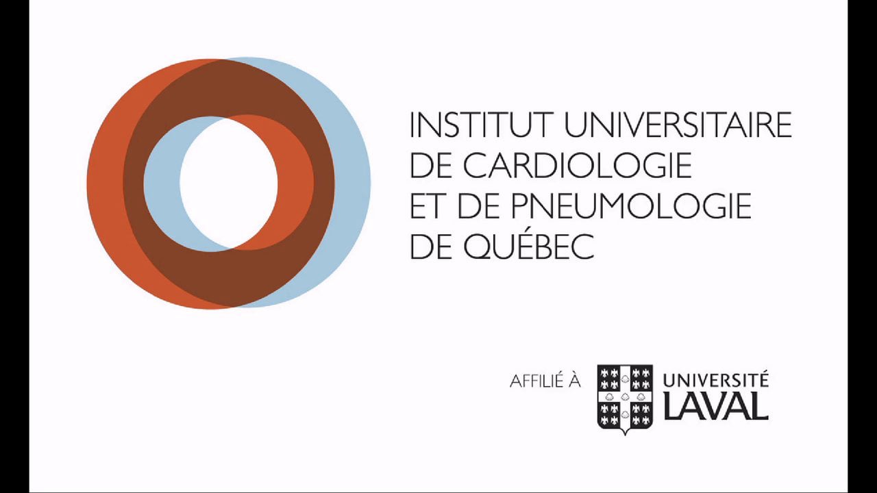 Néphropathie diabétique par Dr Garceau, cours GMF, 2e partie on Vimeo