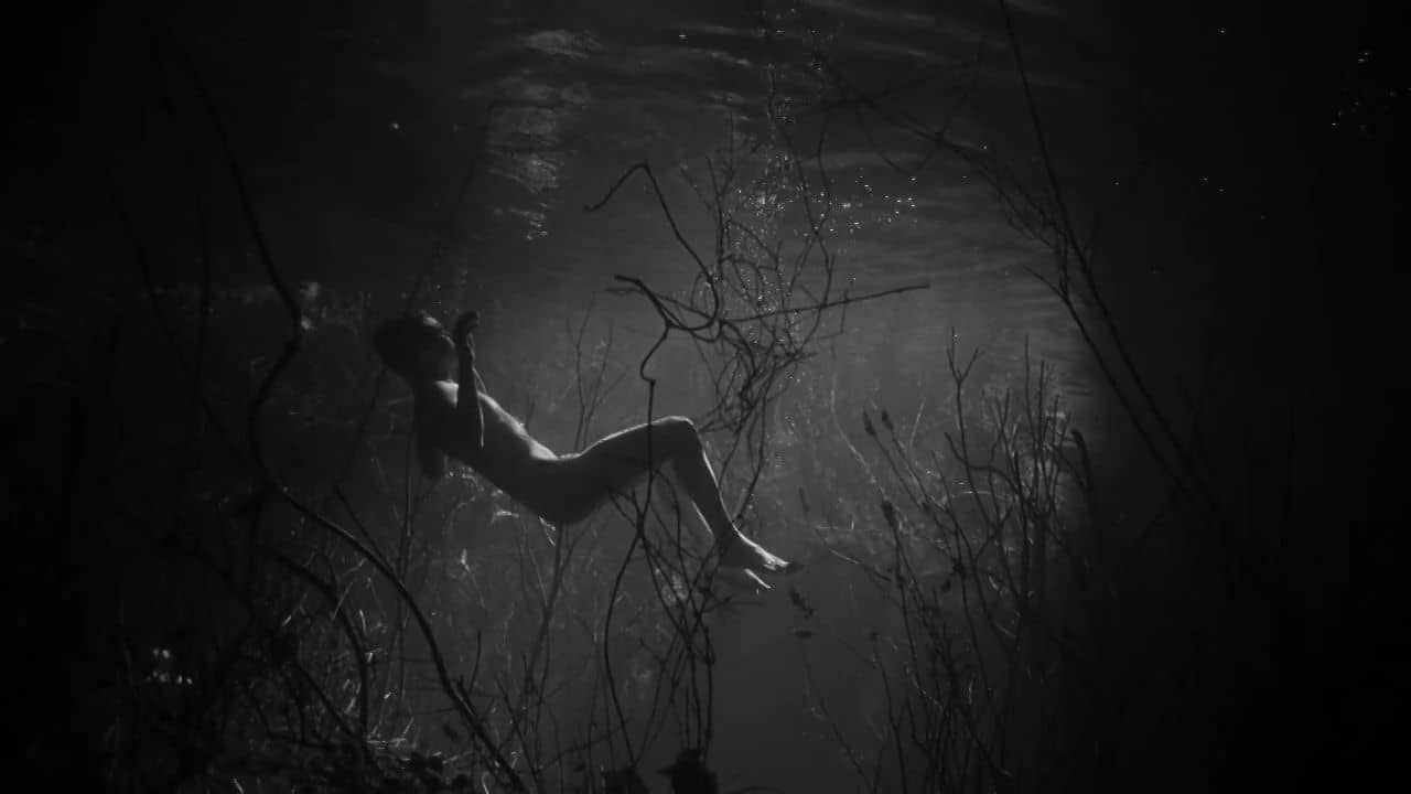 "Swimmer" Trailer on Vimeo