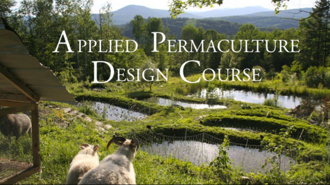 Whole Systems Design Applied Permaculture Design Course on Vimeo