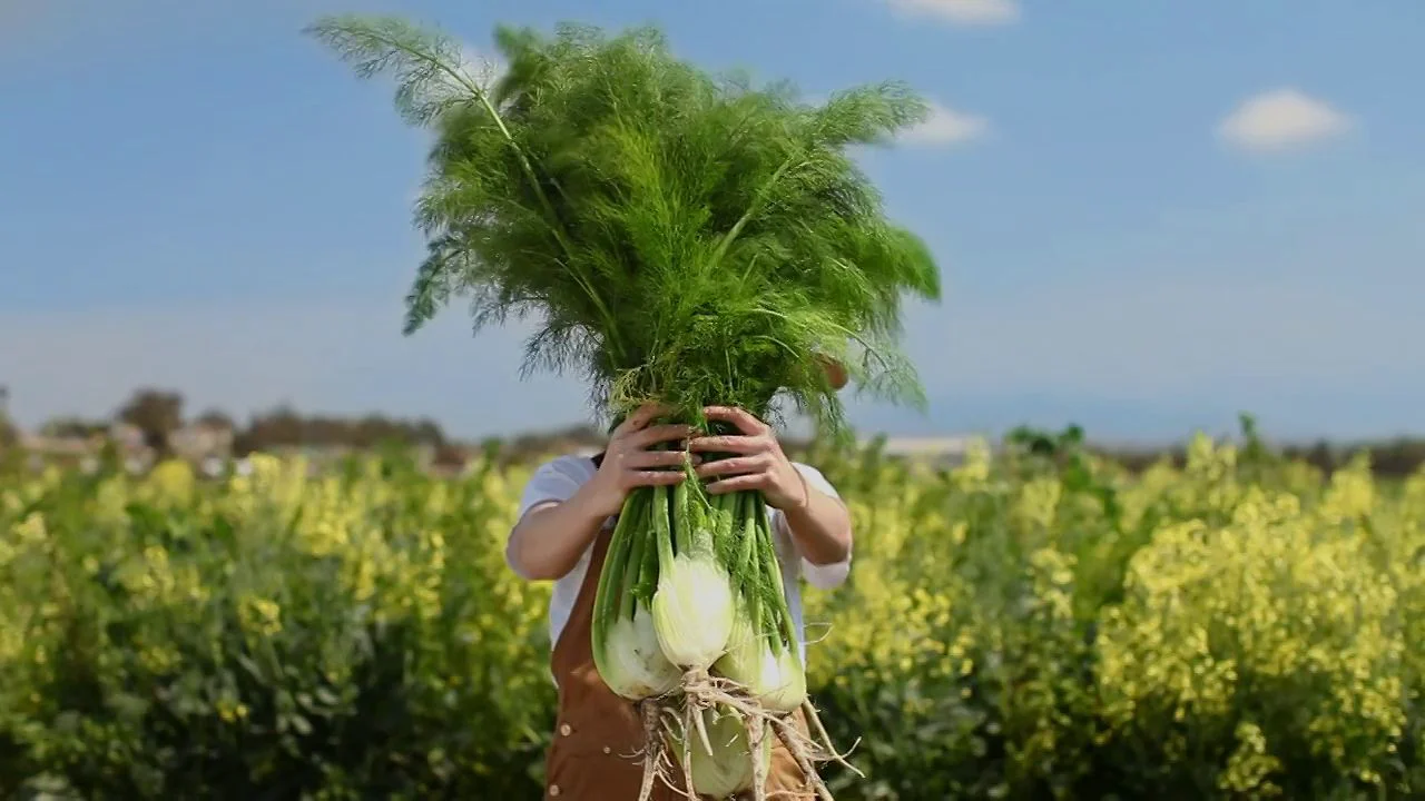 NBC Green Week on Vimeo