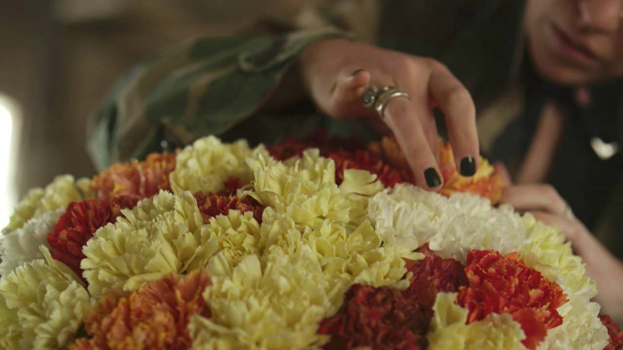 The Flower Bomb on Vimeo