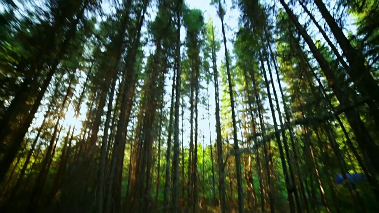 Dominic Leclerc - C'est beau comme c'est vrai on Vimeo