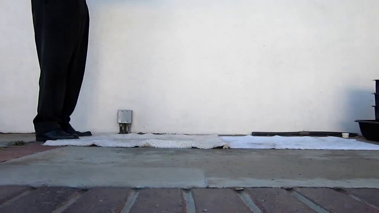 Bowling Ball Bounce Animation Reference on Vimeo