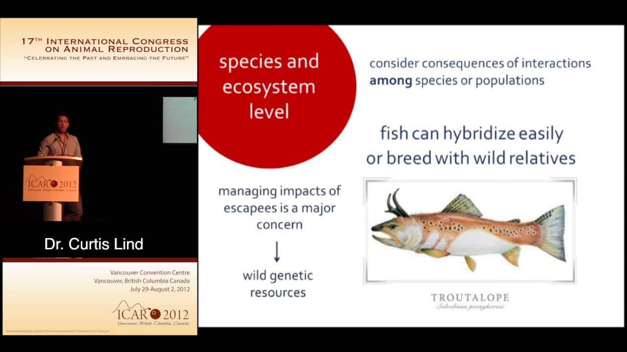 Selective breeding in fish and conservation of genetic resources for ...