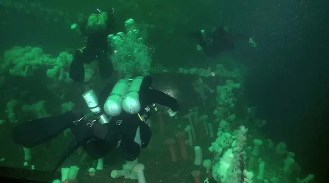 Dive on the Saskatchewan