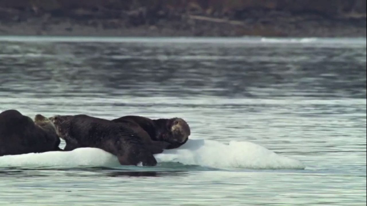Icy Killers 1 on Vimeo