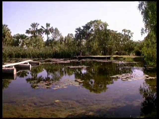 Barra Pond Outback Adventures with Troy Dann Volume 4 on Vimeo