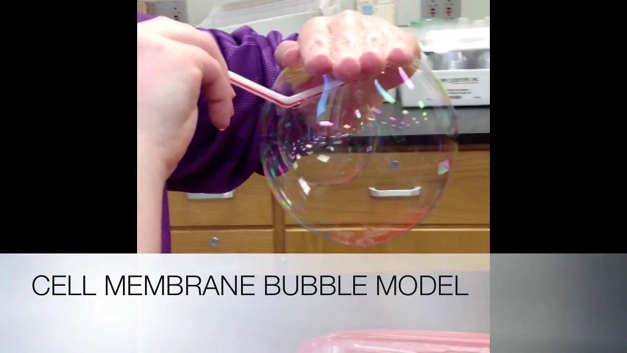 Cell Membrane Soap Bubble Lab on Vimeo
