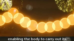 Biophoton Light Therapy | the CHIREN | Photon Light on Vimeo