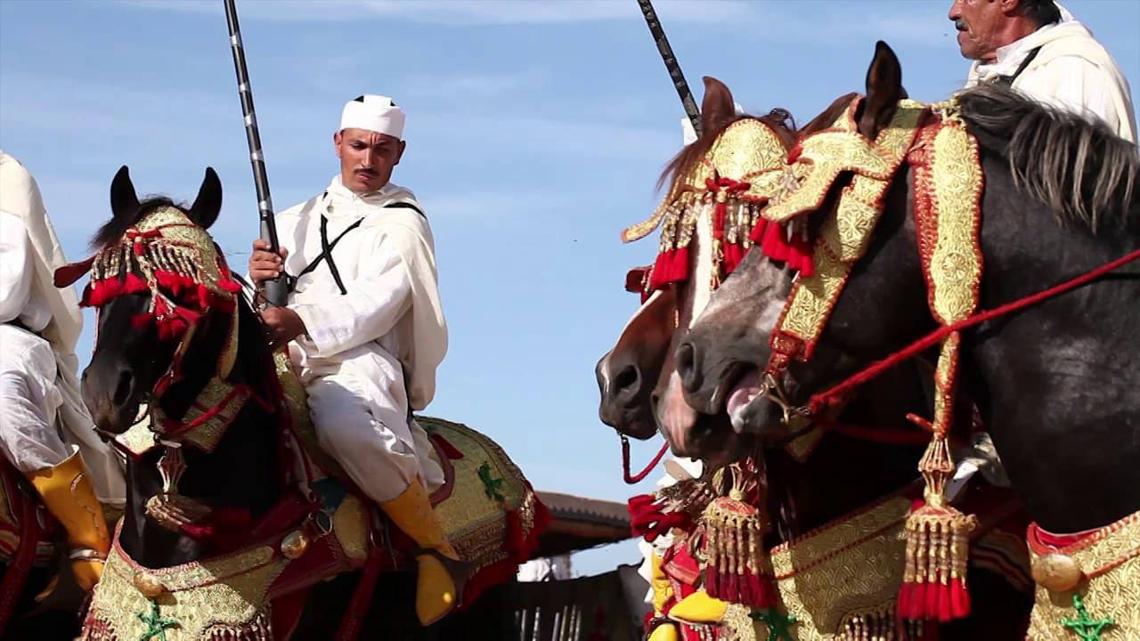 Morocco In Motion - La Tbourida (Fantasia) au Maroc on Vimeo