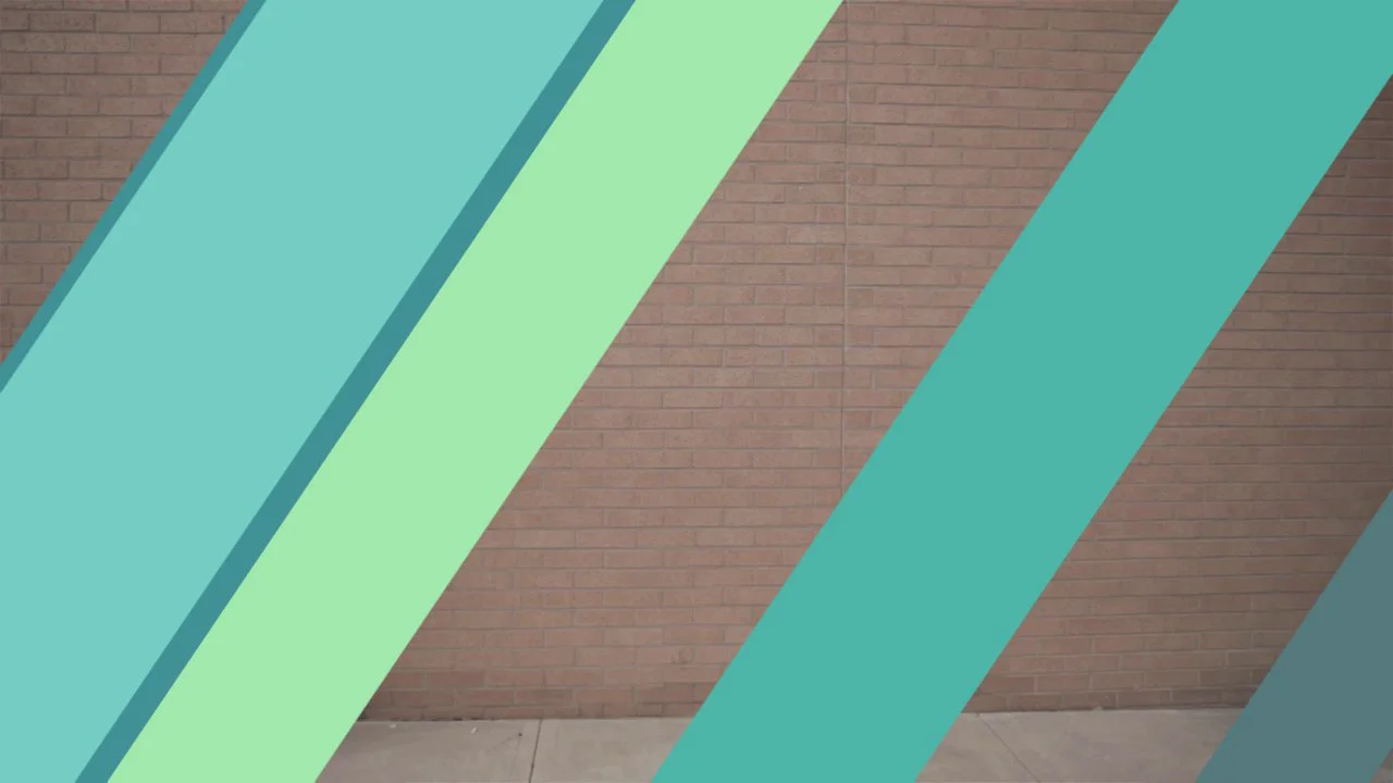 MAIP application video on Vimeo