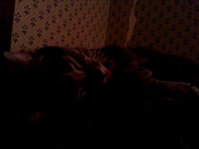 Simon sleeping on my shirt on Vimeo