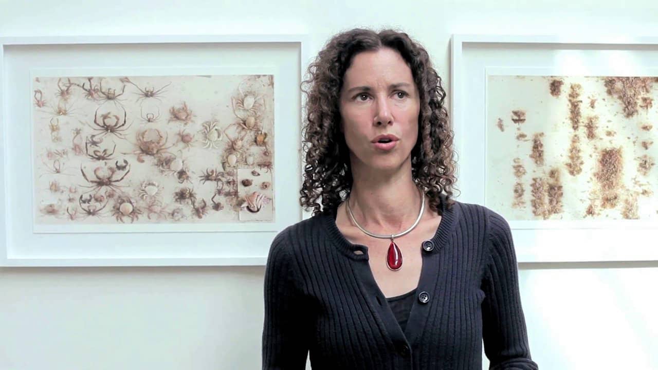 Helen Pynor - The Life Raft on Vimeo