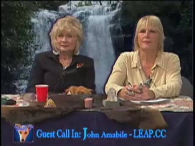 LEAP... Law Enforcement Against Prohibition with John Amabile on Vimeo