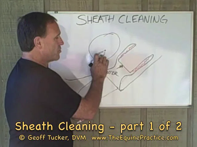 Sheath Cleaning