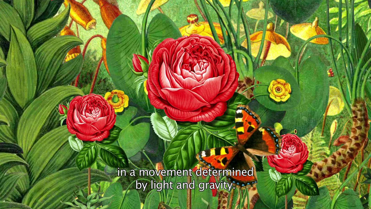 Sobre Ruedas trailer on Vimeo