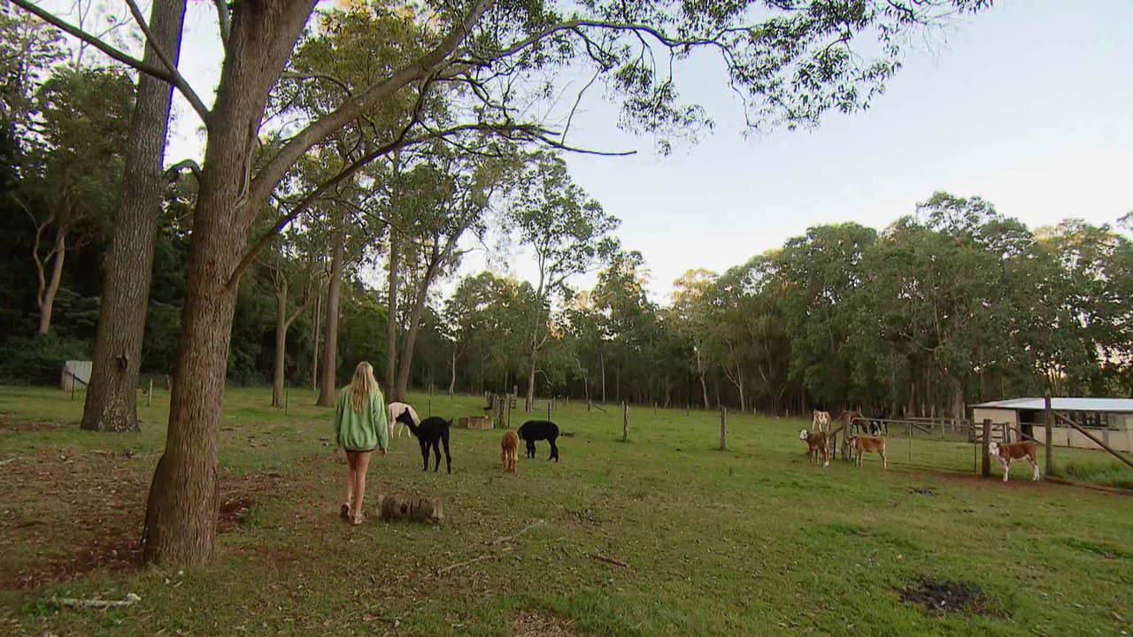 Mt Binga Outdoor Education Centre on Vimeo